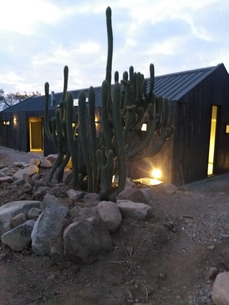 Foto: Casa Pirque de Constructora Norton Ltda. #386020 - Habitissimo