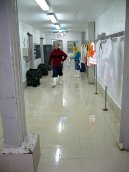 Foto: Antidelsizantes para Zonas Húmedas de Stopfall Antideslizantes ...