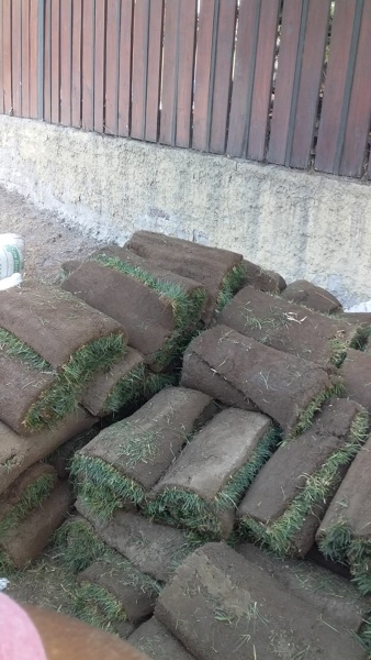 Foto: Pasto de Ryf Services #460442 - Habitissimo