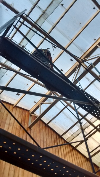 Foto: Instalación de Policarbonato de Aseo Integral y Obras Menores ...