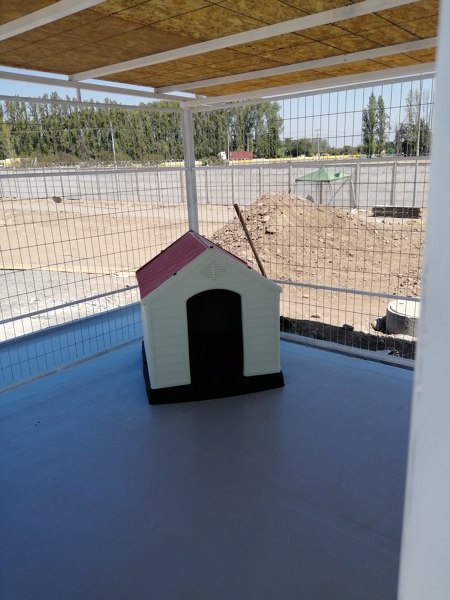 Foto: Canil Finalizado de Enki Apolo #631901 - Habitissimo