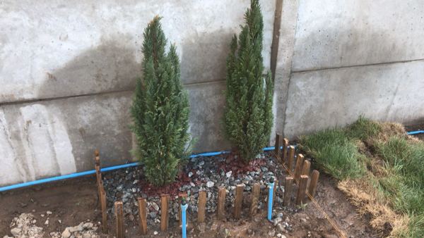 Foto: Jardín con Pinos de Construcciones Y Servicios Vilchman&grollmus ...