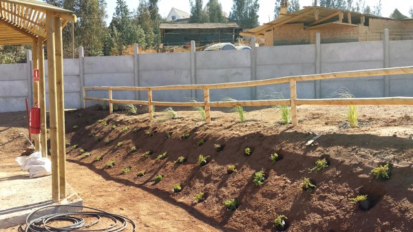 Foto: Talud Vegetal de Jardines Del Mar #33825 - Habitissimo
