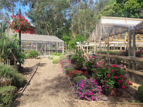 Foto: Vivero Garden Flower de Garden Flower #203222 - Habitissimo