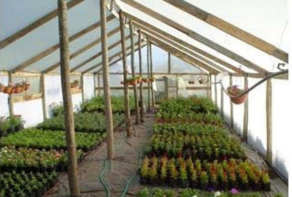 Foto: Primer Vivero de Garden Flower #203223 - Habitissimo