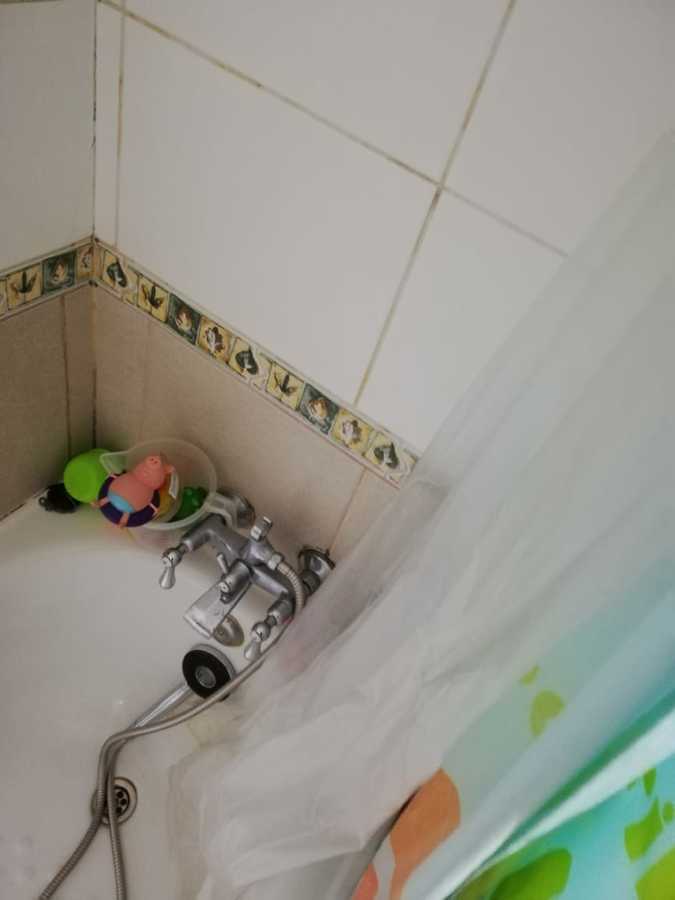 Foto: Ducha sin Presion y sin Soporte. de EYMT #336346 - Habitissimo