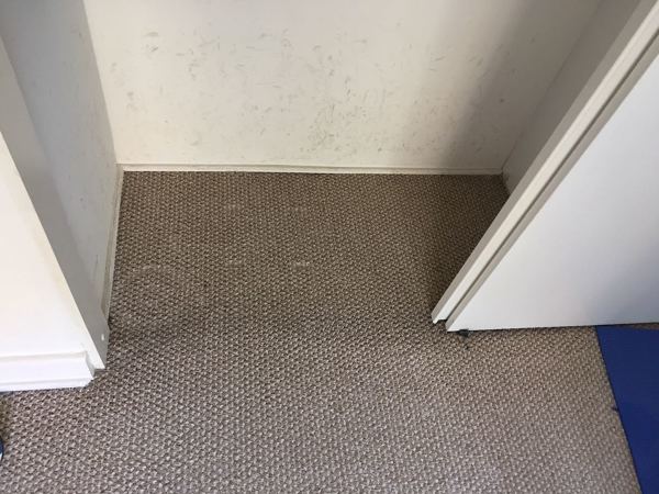 Foto: Alfombra Manchada de Frcleanservice #292181 - Habitissimo