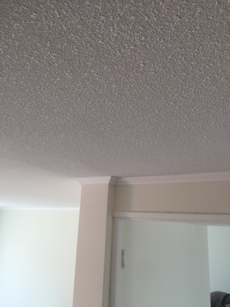 Foto: Aplicación de Losalin de Leandropinturas #231743 - Habitissimo