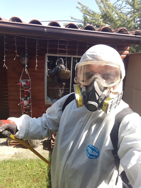 Foto: Fumigado Exterior de Full Go #345995 - Habitissimo