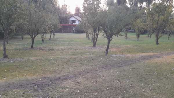 Foto: Parcela de 5000 M2 de Globalvenchile, Spa #622599 - Habitissimo