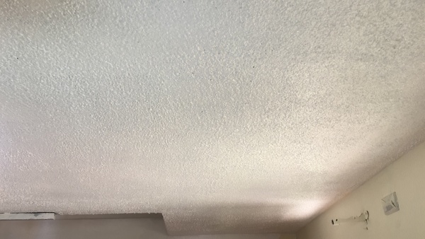 Foto: Pintura en Cielo Razo de Wbz #401929 - Habitissimo