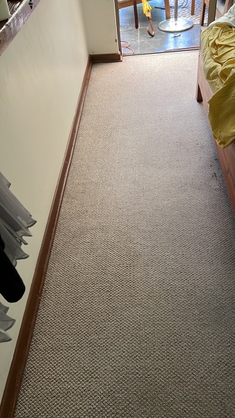 Foto: Pulcritud Total de Aseo Integral y Limpieza de Tapiz Israel ...