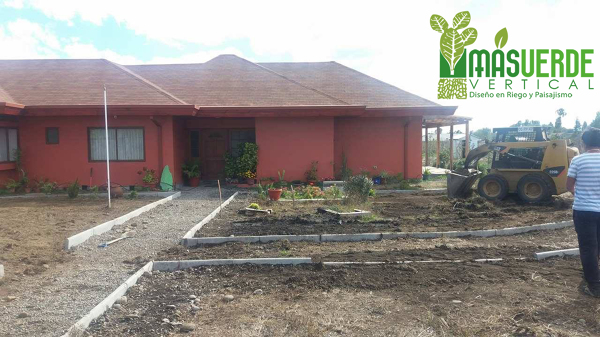 Foto: Relleno de Jardineras de Mas Verde Vertical #184464 - Habitissimo