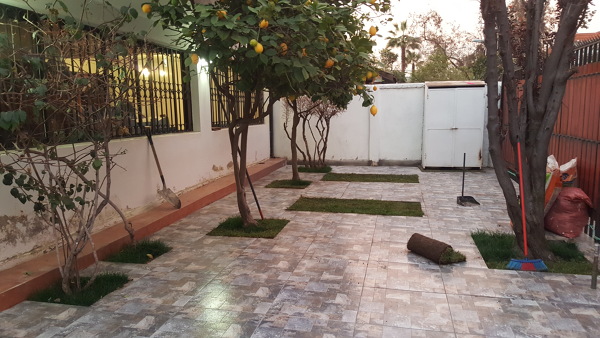 Foto: Reposición de Pasto Natural de Constructora DADOS #208859 ...