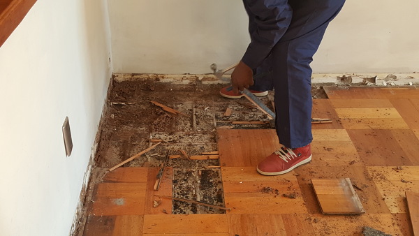 Foto: Retiro Parquet de Constructora DADOS #208154 - Habitissimo