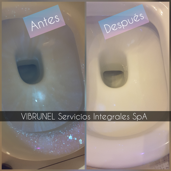 Foto: Sanitizado de Baños de Vibrunel Servicios Integrales Spa #399428 ...